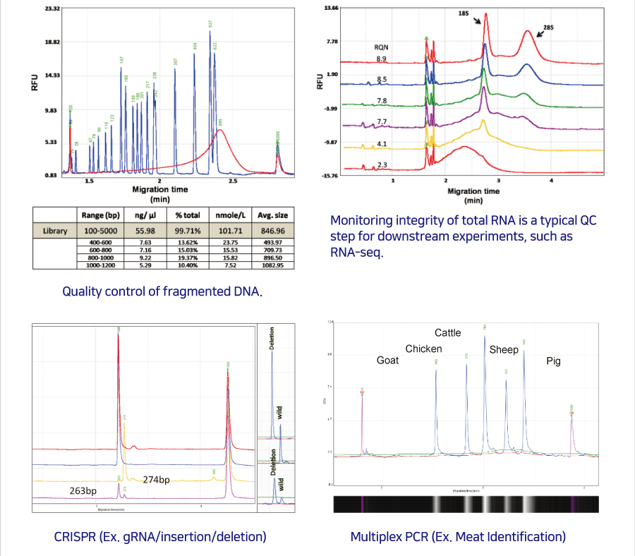 399호-NGS Library QC를 위한 Qsep Fragment Analyzer series – (주)바이오디