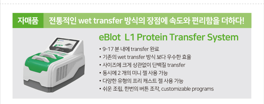 564호-단백질 Coomassie 염색, 이제 10분안에 확인 하세요!! eStain L1 Protein Staining ...