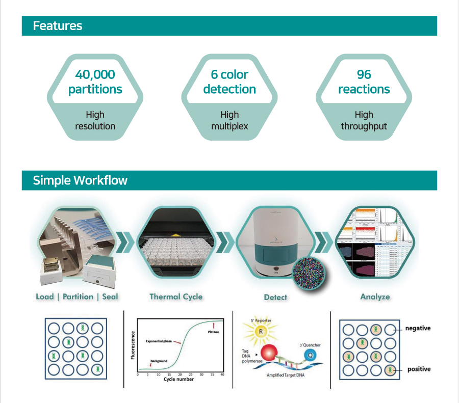 607호-Chip-based digital PCR can accurately quantify standards – (주)바이오디